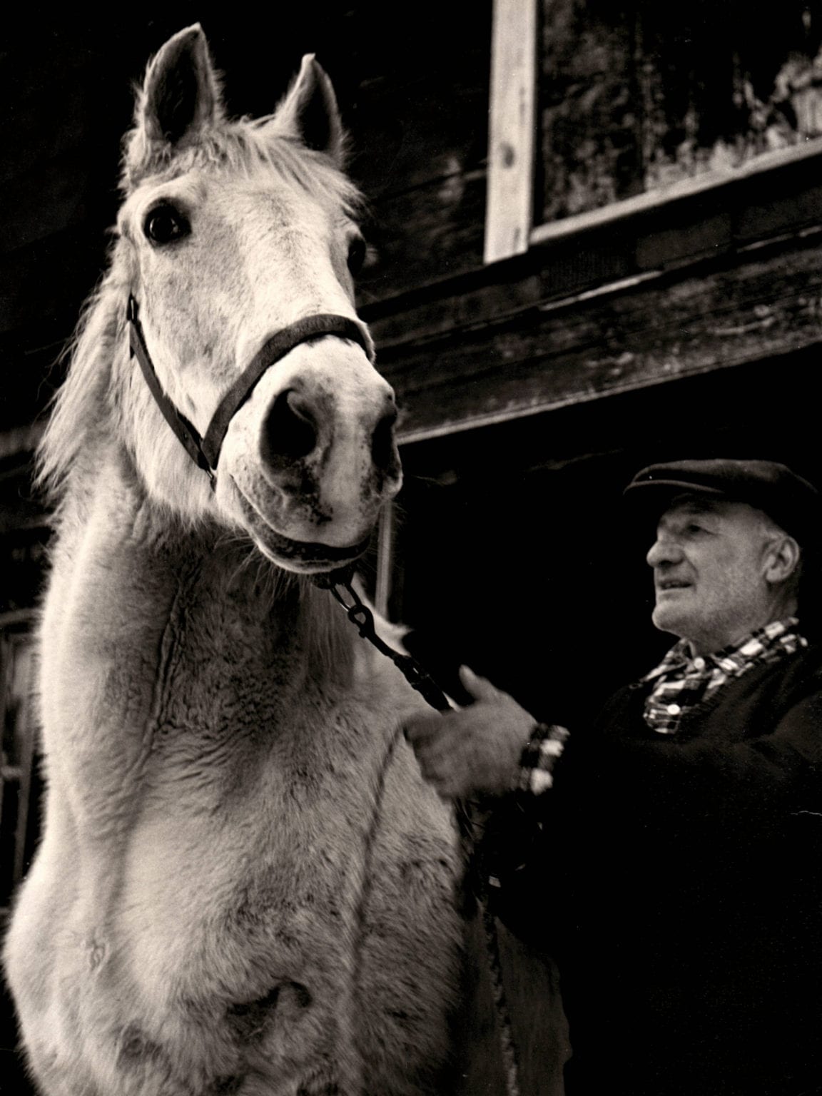 Todd Webb | Holden Luntz Gallery