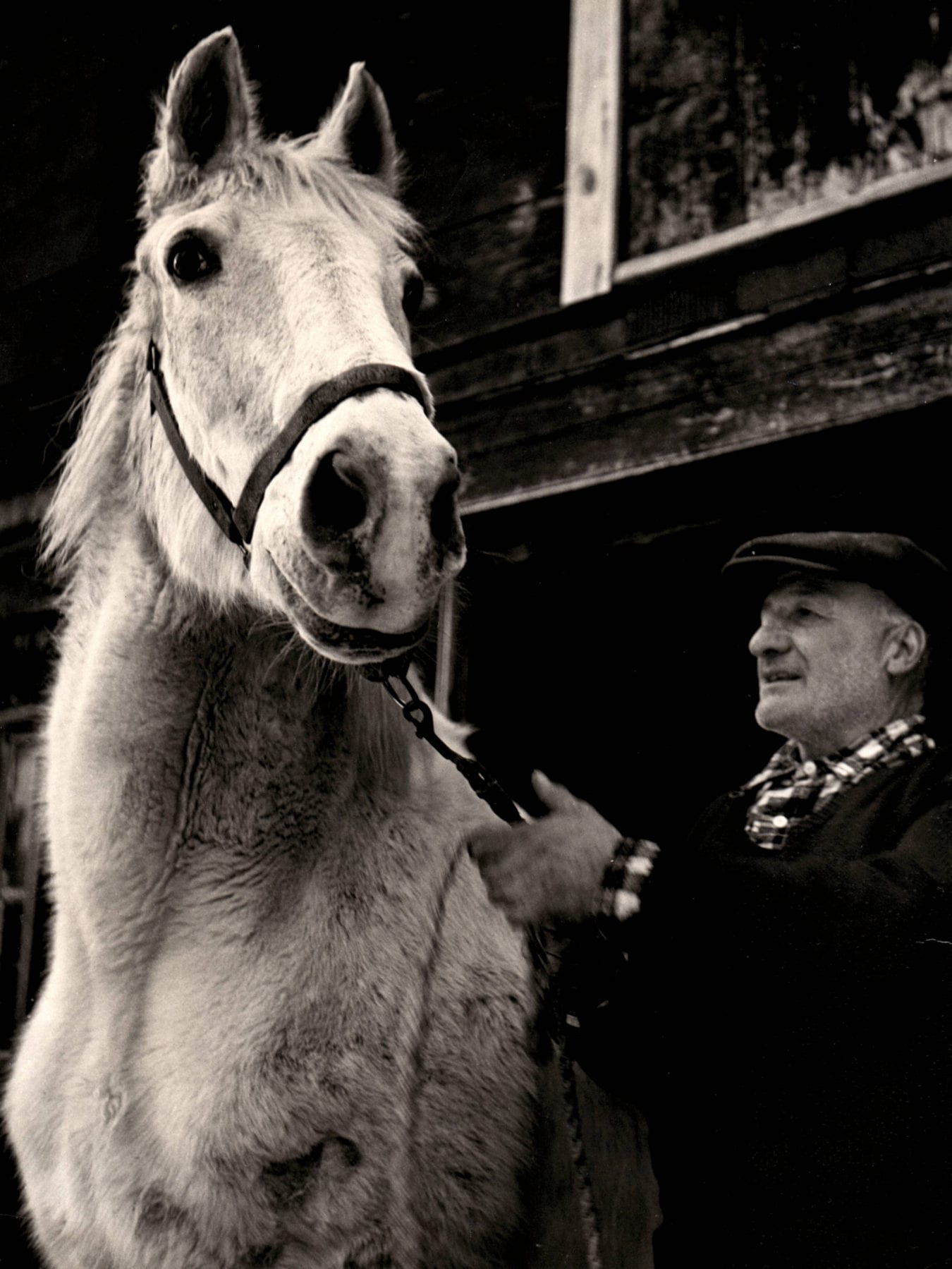 Todd Webb | Holden Luntz Gallery