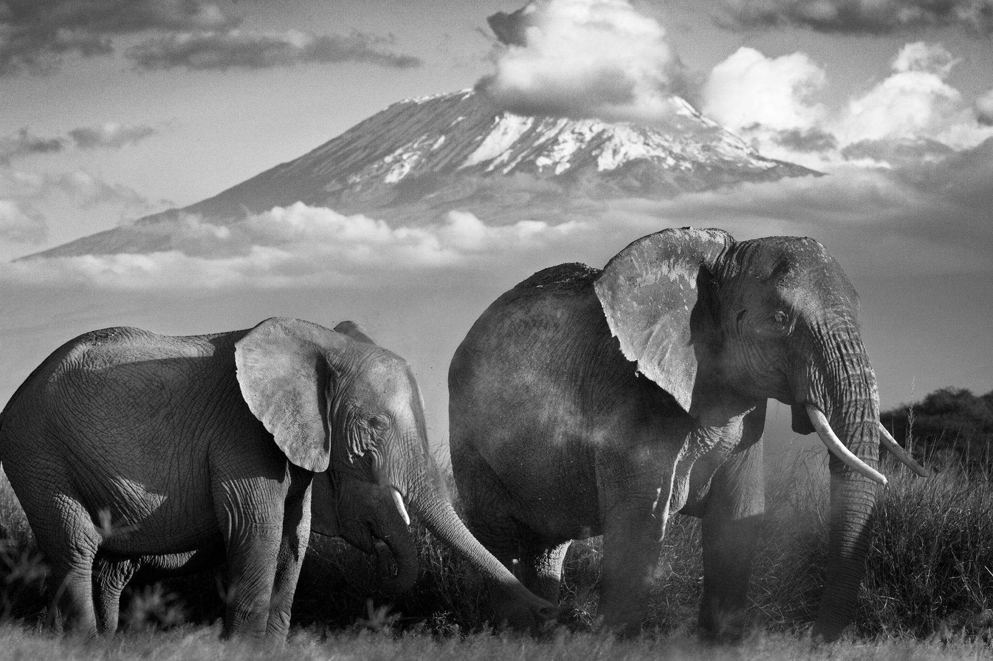 David Yarrow Photography - Page 3 of 6 - Holden Luntz Gallery