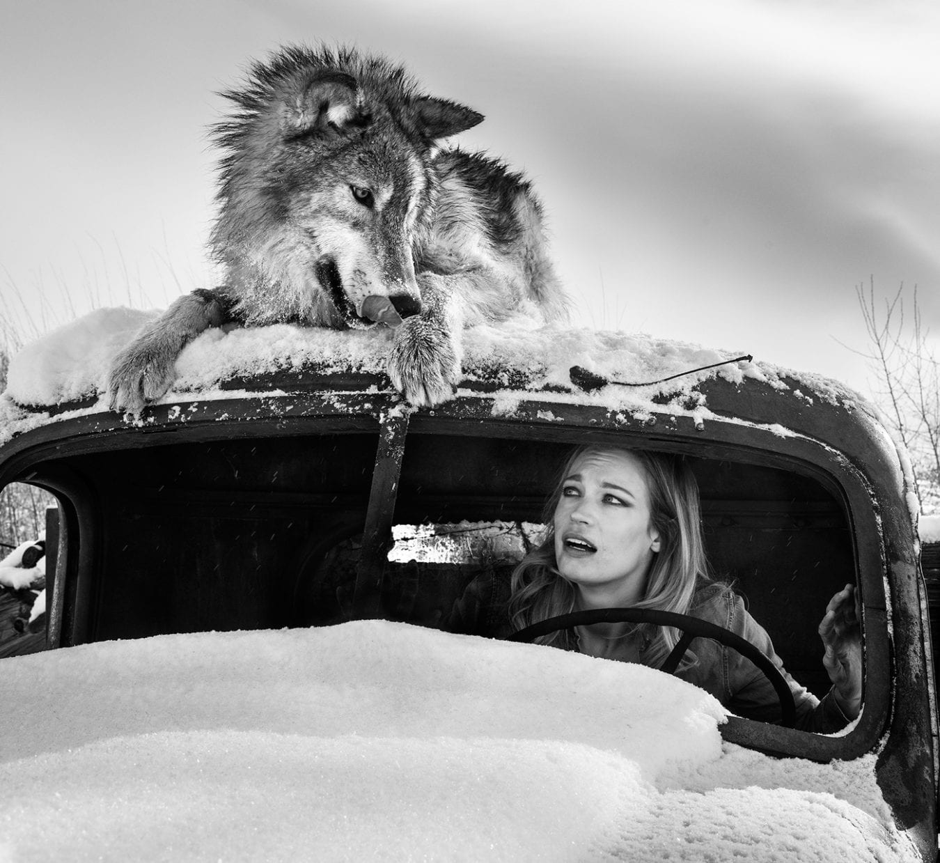 David Yarrow Photography - Holden Luntz Gallery