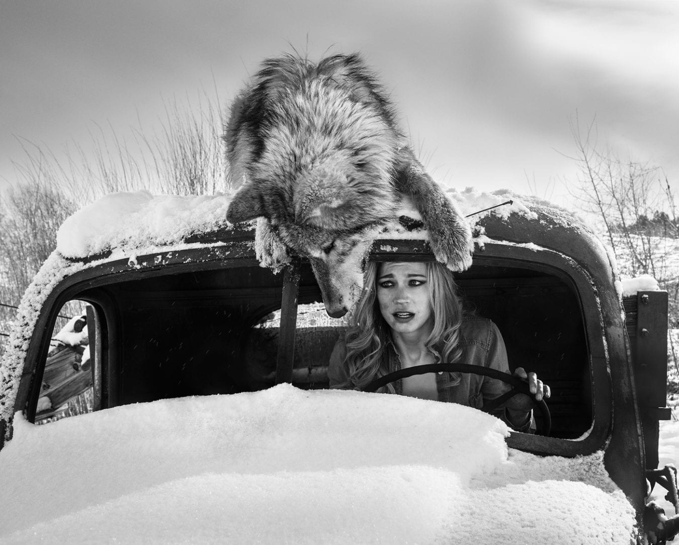 David Yarrow Photography - Holden Luntz Gallery