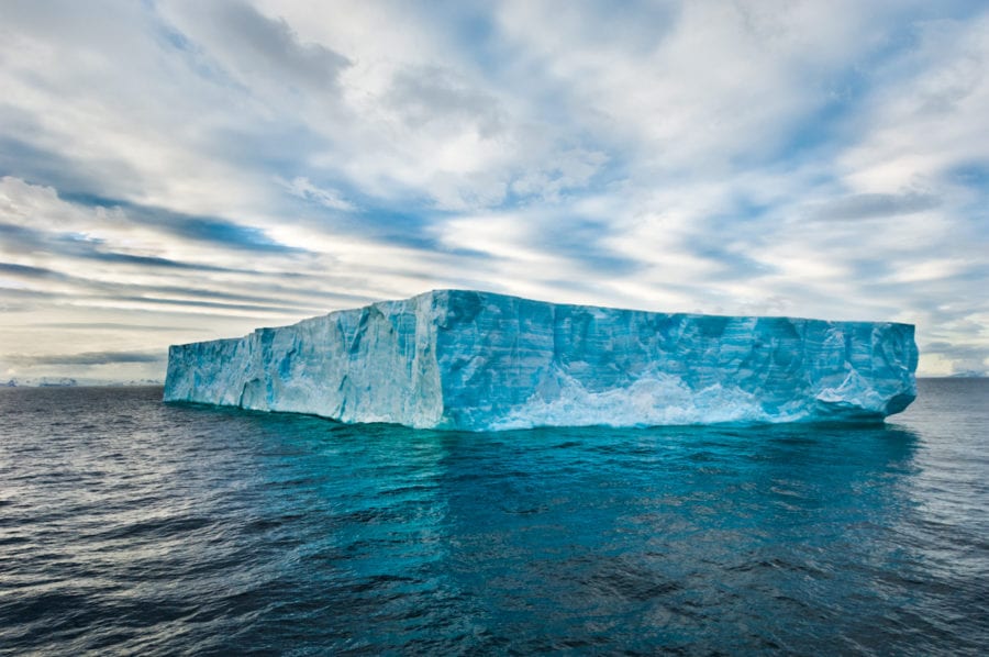 Alison Wright | Holden Luntz Gallery