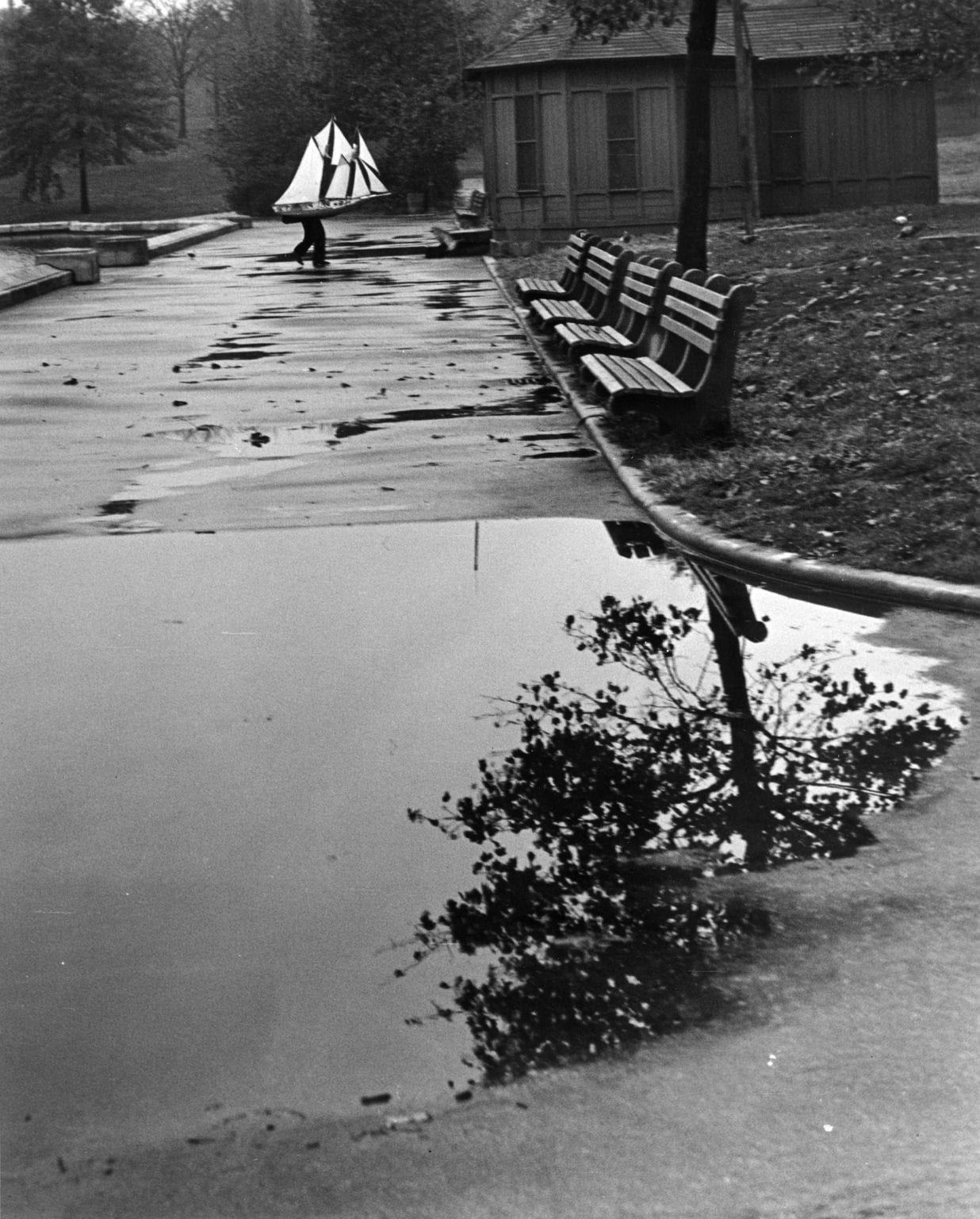 André Kertész | Holden Luntz Gallery