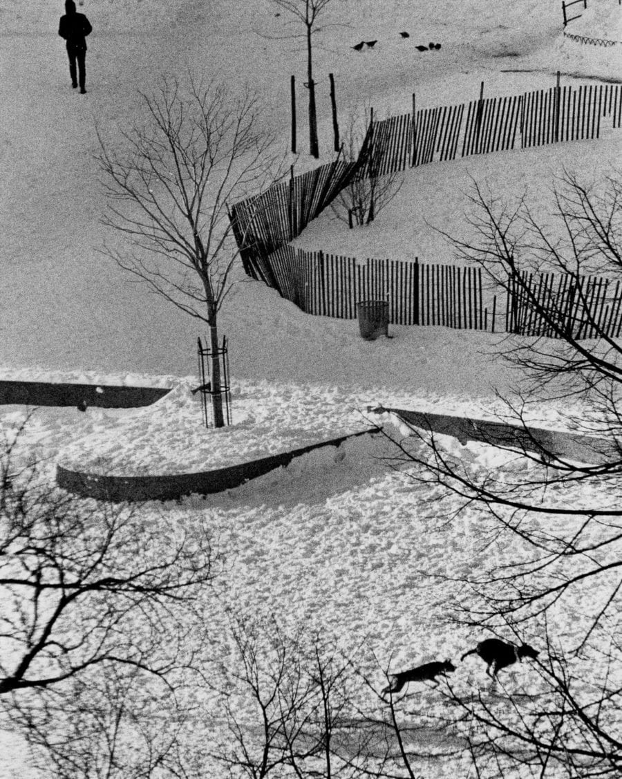 André Kertész Photography | Holden Luntz Gallery