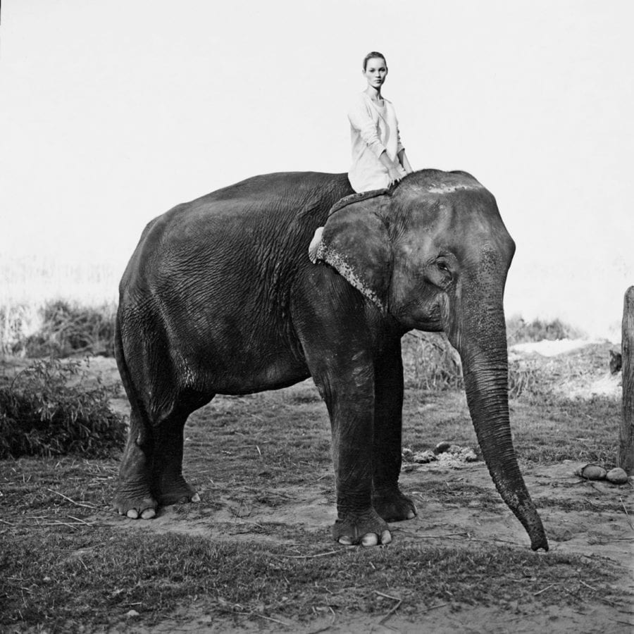 Kate Moss on the Elephant, British - Holden Luntz Gallery
