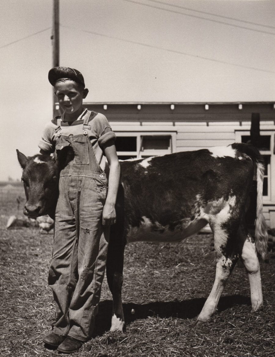 Arthur Rothstein | Holden Luntz Gallery