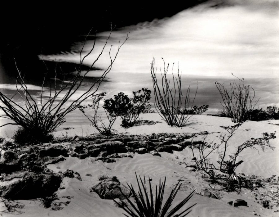 Brett Weston Photography - Holden Luntz Gallery