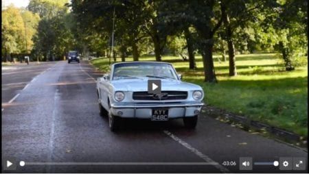 Meet our Artists: Jim Lee - Holden Luntz Gallery