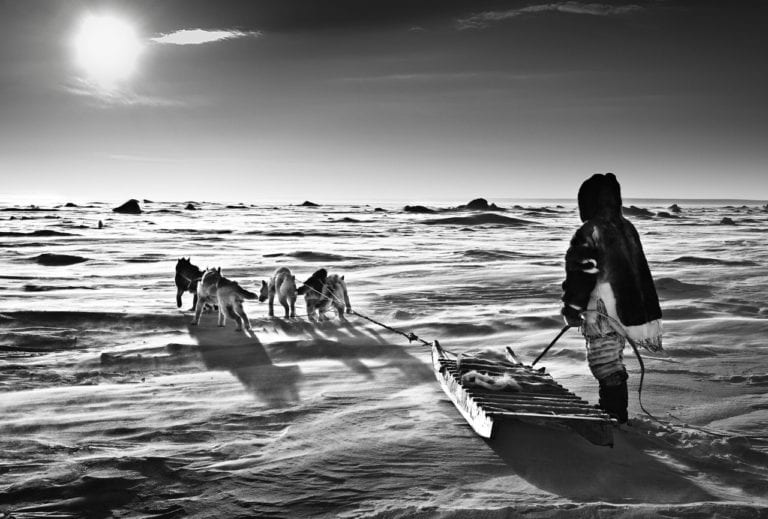 Tim - Holden Luntz Gallery