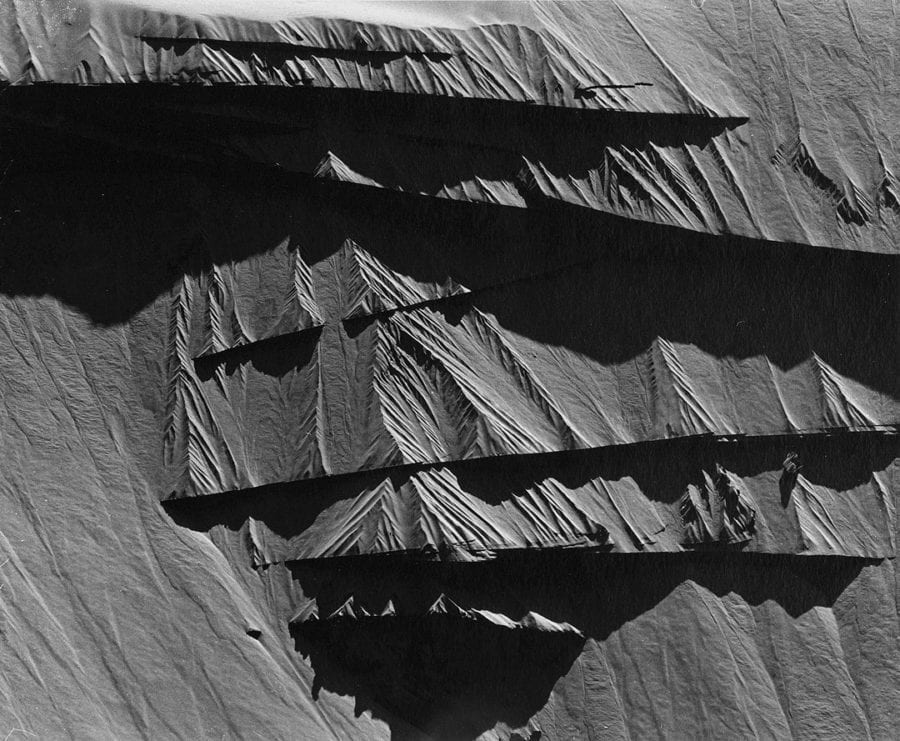 Brett Weston | Holden Luntz Gallery