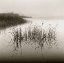 Holden Luntz Gallery - On the Water with Michael Kahn