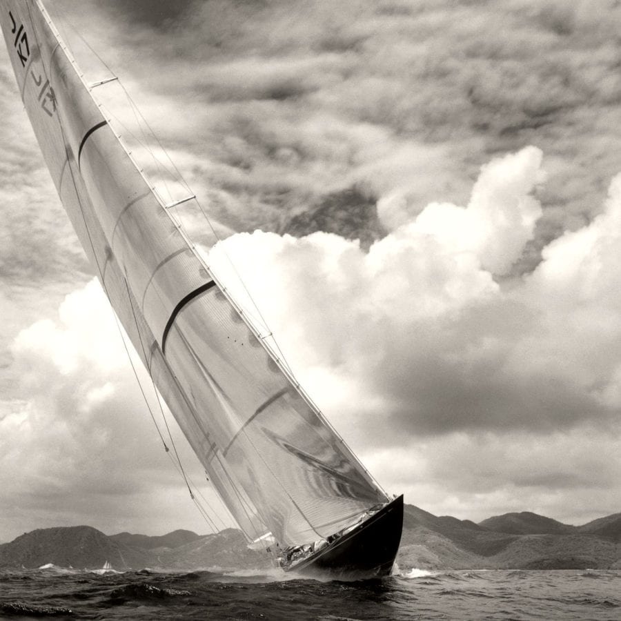 Velsheda - Holden Luntz Gallery