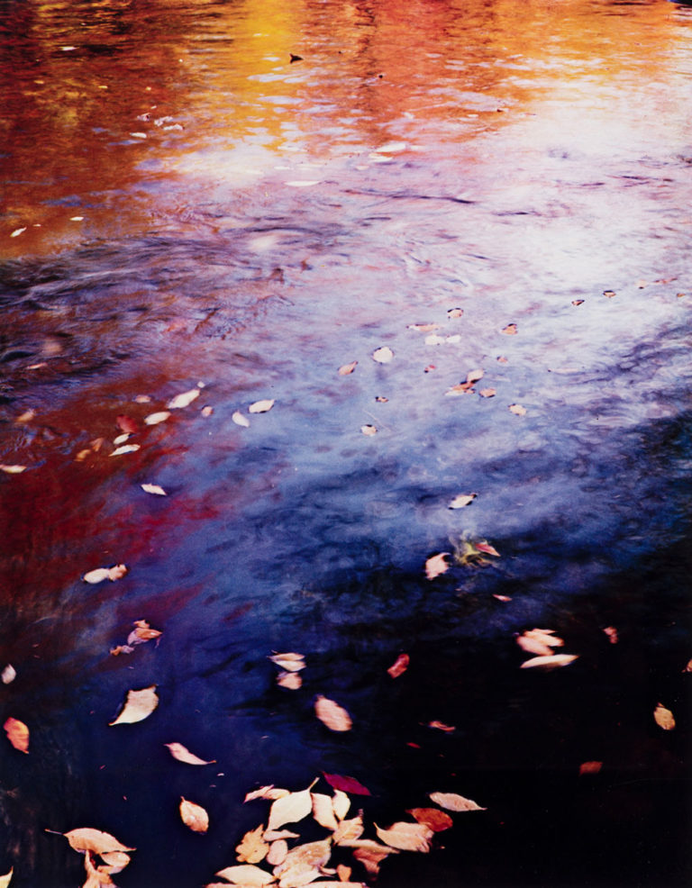 Eliot Porter | Holden Luntz Gallery