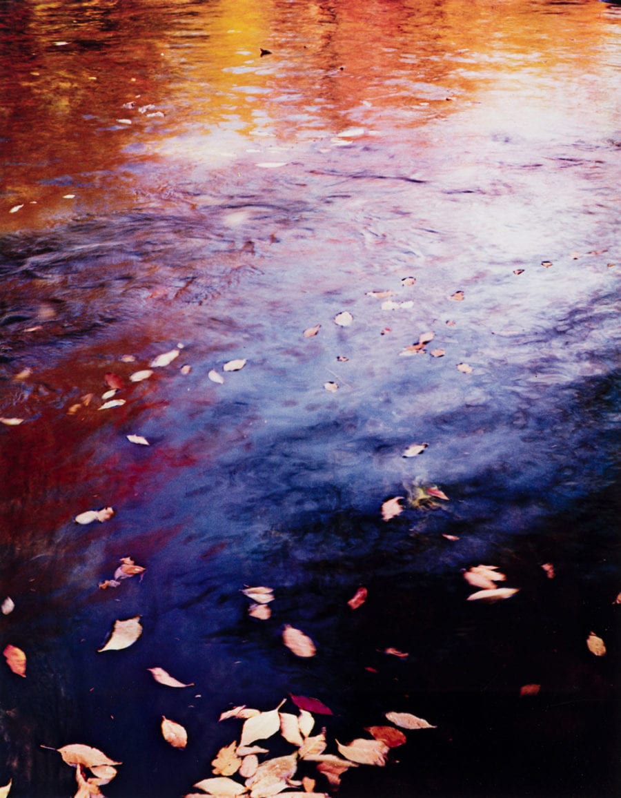 Eliot Porter | Holden Luntz Gallery