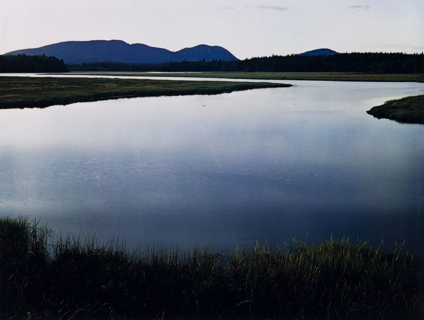 Eliot Porter Photography - Holden Luntz Gallery