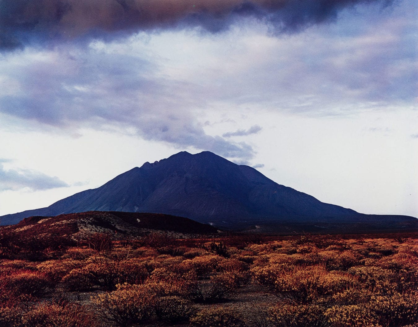 Holden Luntz Gallery - Eliot Porter – In Wildness