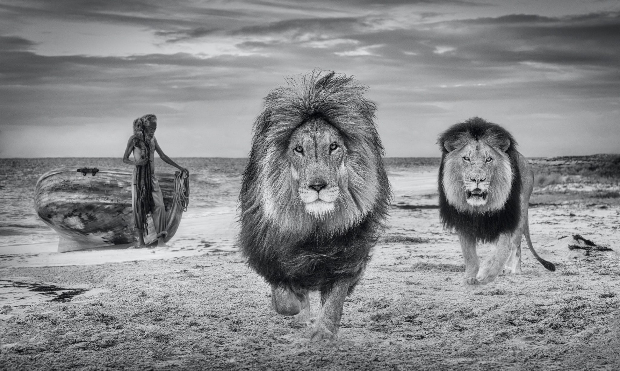 David Yarrow Photography - Page 5 of 5 - Holden Luntz Gallery
