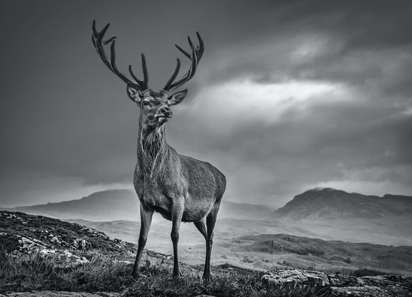 David Yarrow Photography - Page 3 of 5 - Holden Luntz Gallery