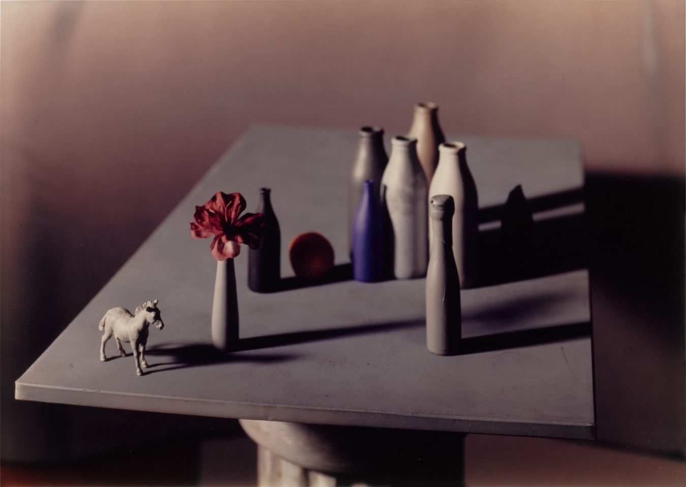 Jan Groover | Holden Luntz Gallery