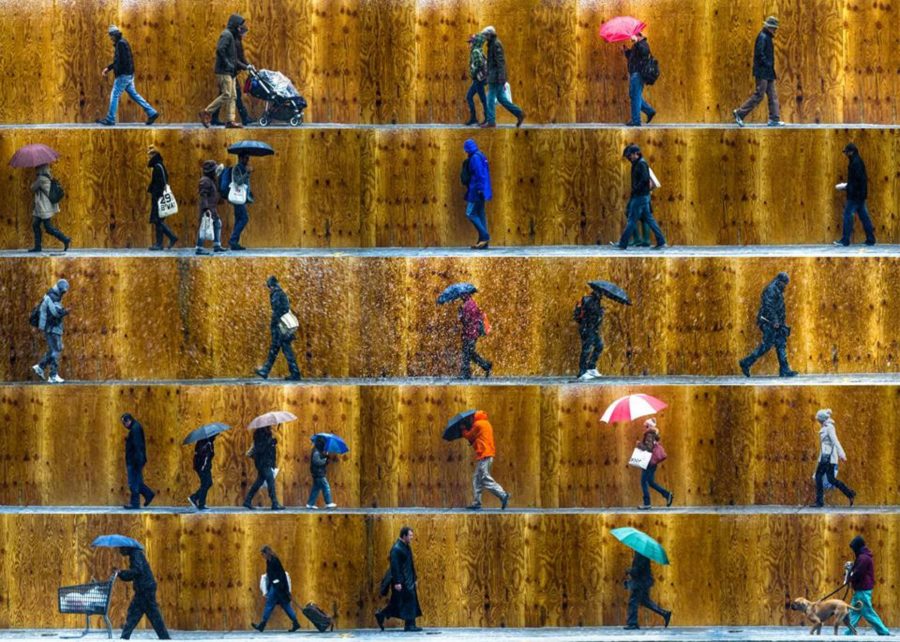 Xan Padron | Holden Luntz Gallery