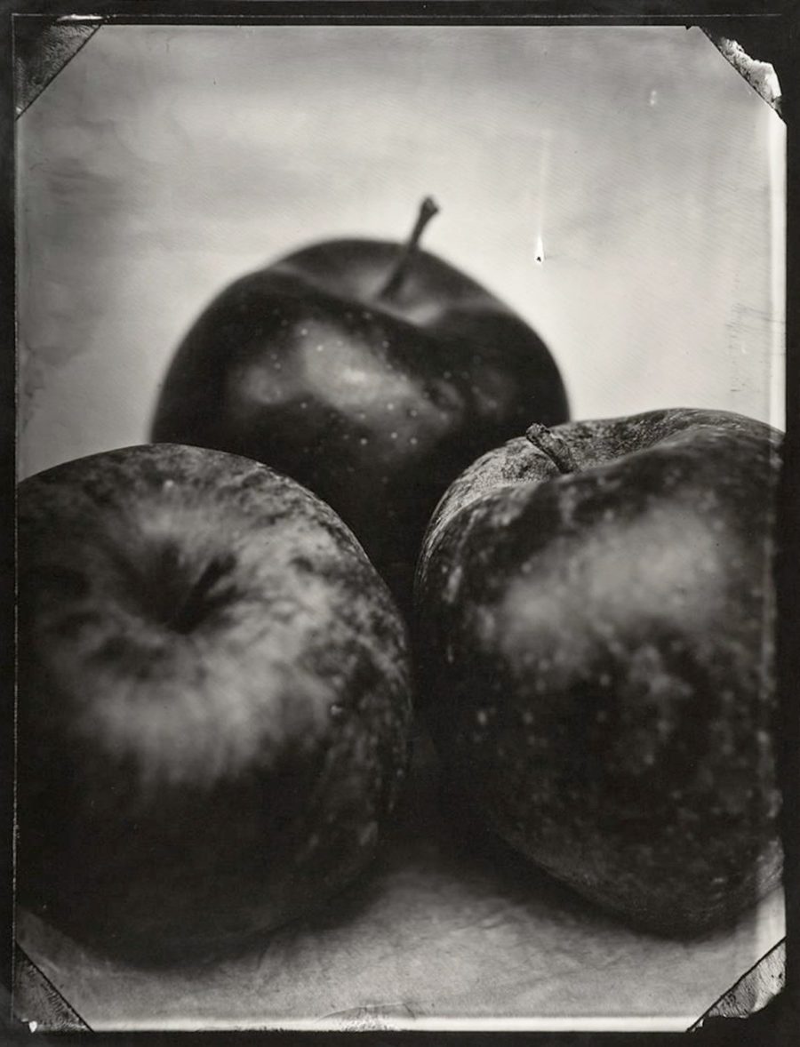 Tom Baril Photography - Holden Luntz Gallery