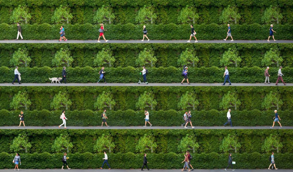 Xan Padron | Holden Luntz Gallery