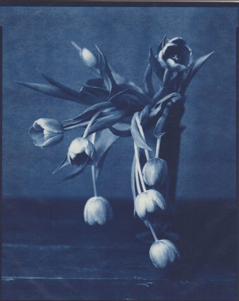 Holden Luntz Gallery - John Dugdale: The Mind's Eye