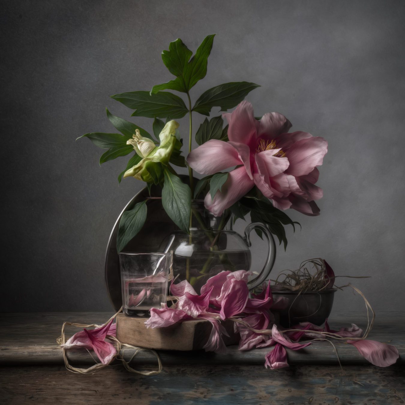 Two Peonies - Holden Luntz Gallery