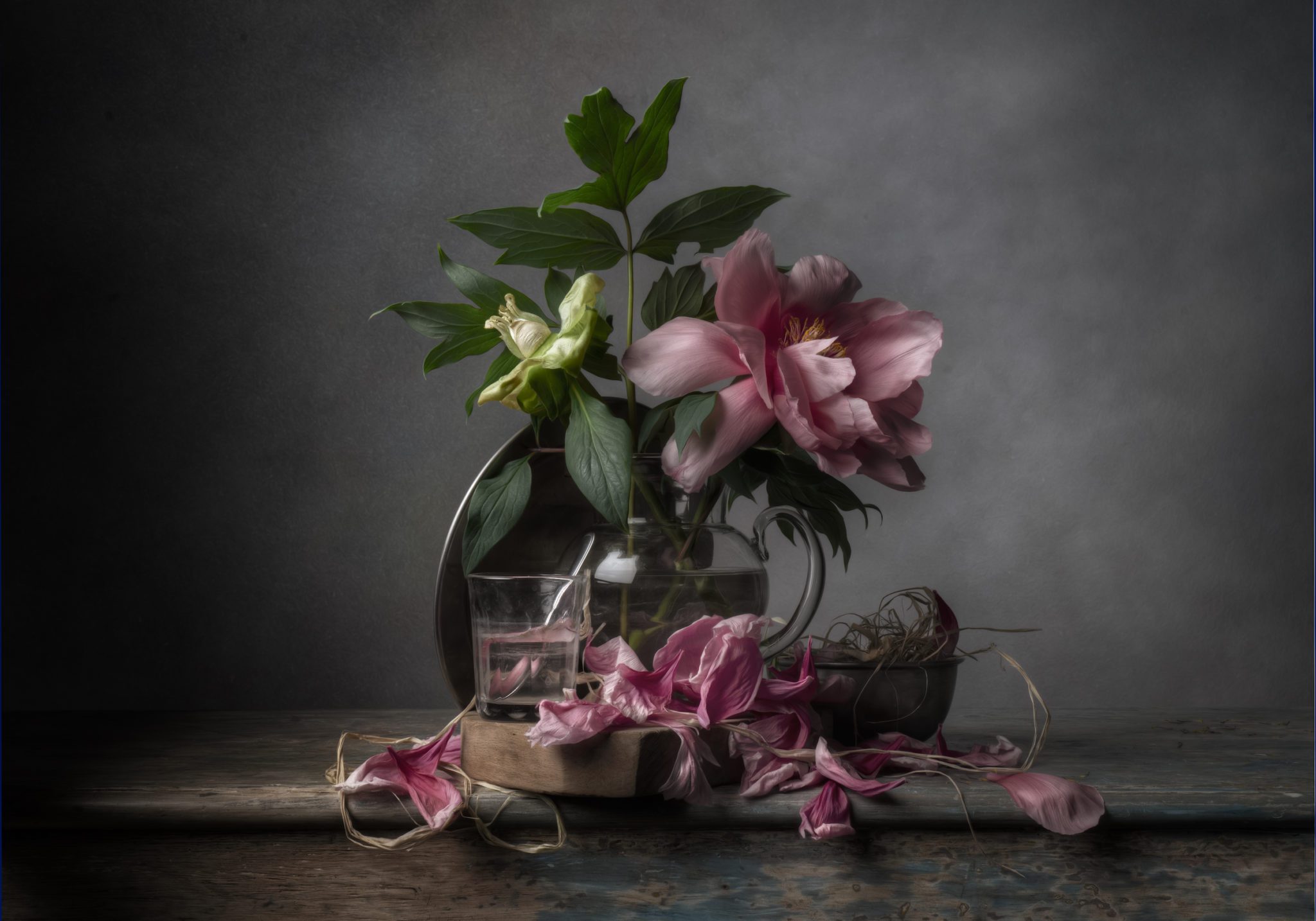 Two Peonies - Holden Luntz Gallery