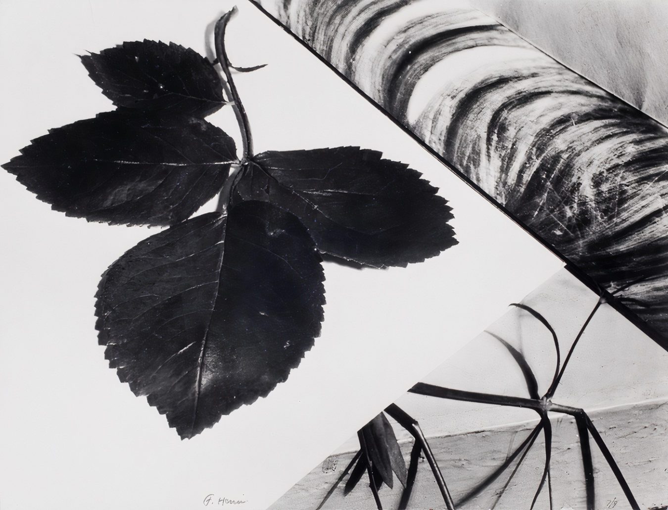 Structure - Holden Luntz Gallery