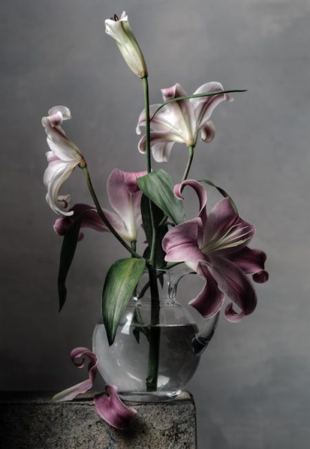 Christopher Broadbent | Holden Luntz Gallery