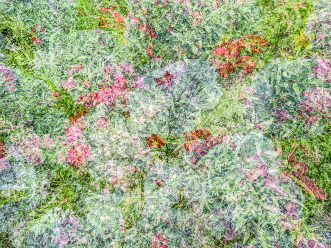 Stephen Wilkes Photography - Page 3 of 3 - Holden Luntz Gallery