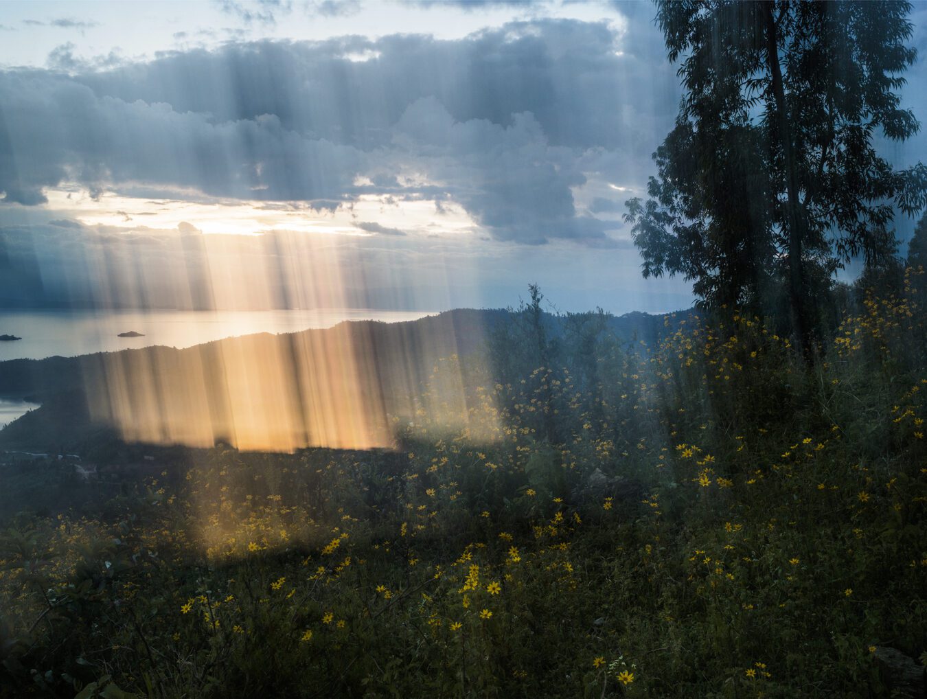What Was And Will Be, Rutsiro District, Rwanda - Holden Luntz Gallery