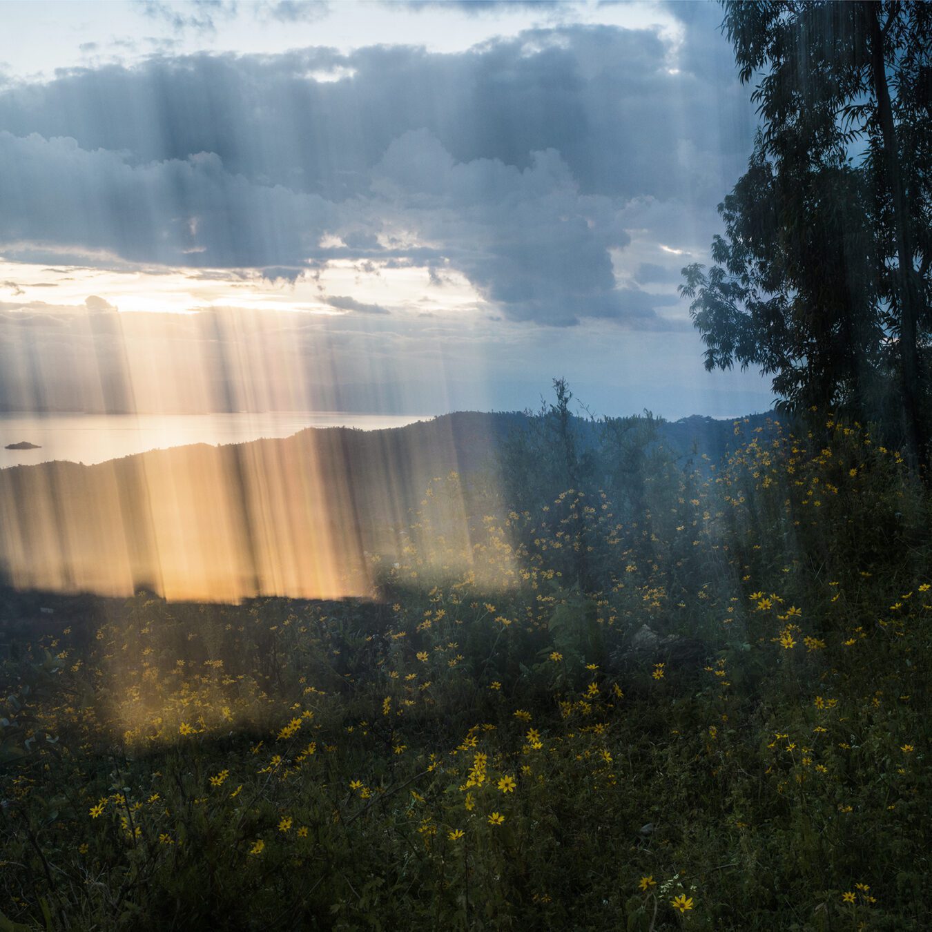 What Was And Will Be, Rutsiro District, Rwanda - Holden Luntz Gallery