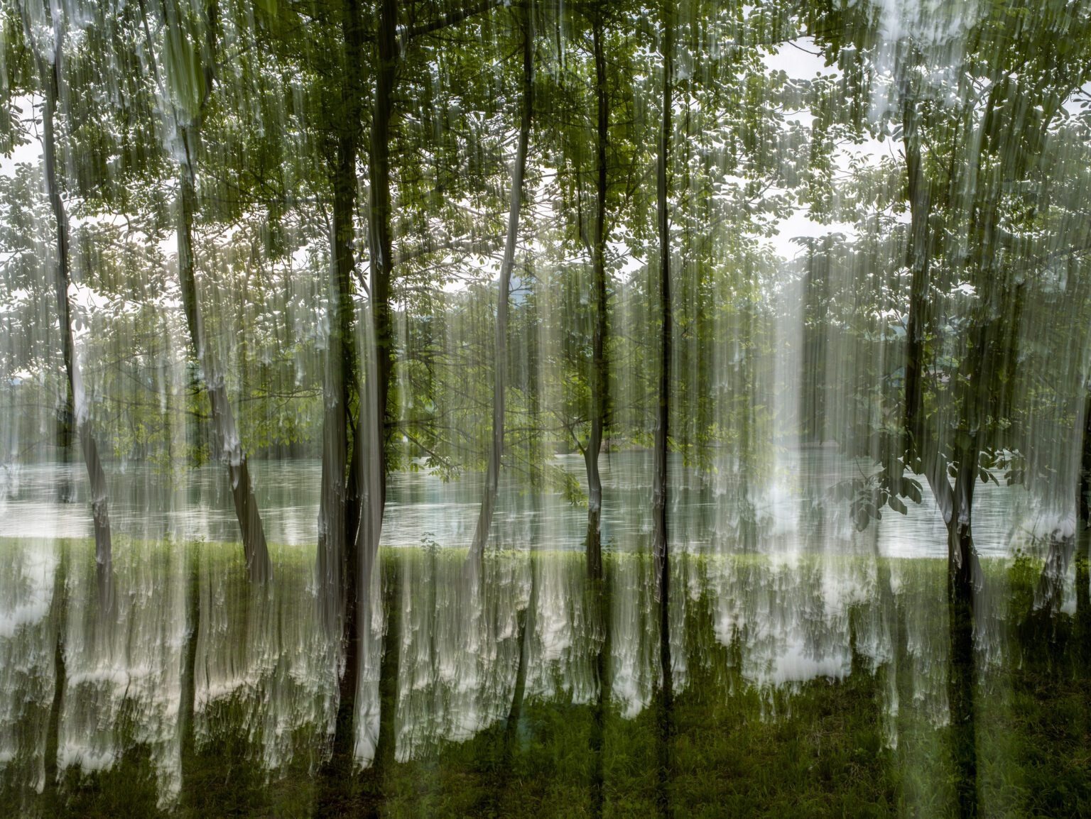 Barry Salzman | Holden Luntz Gallery