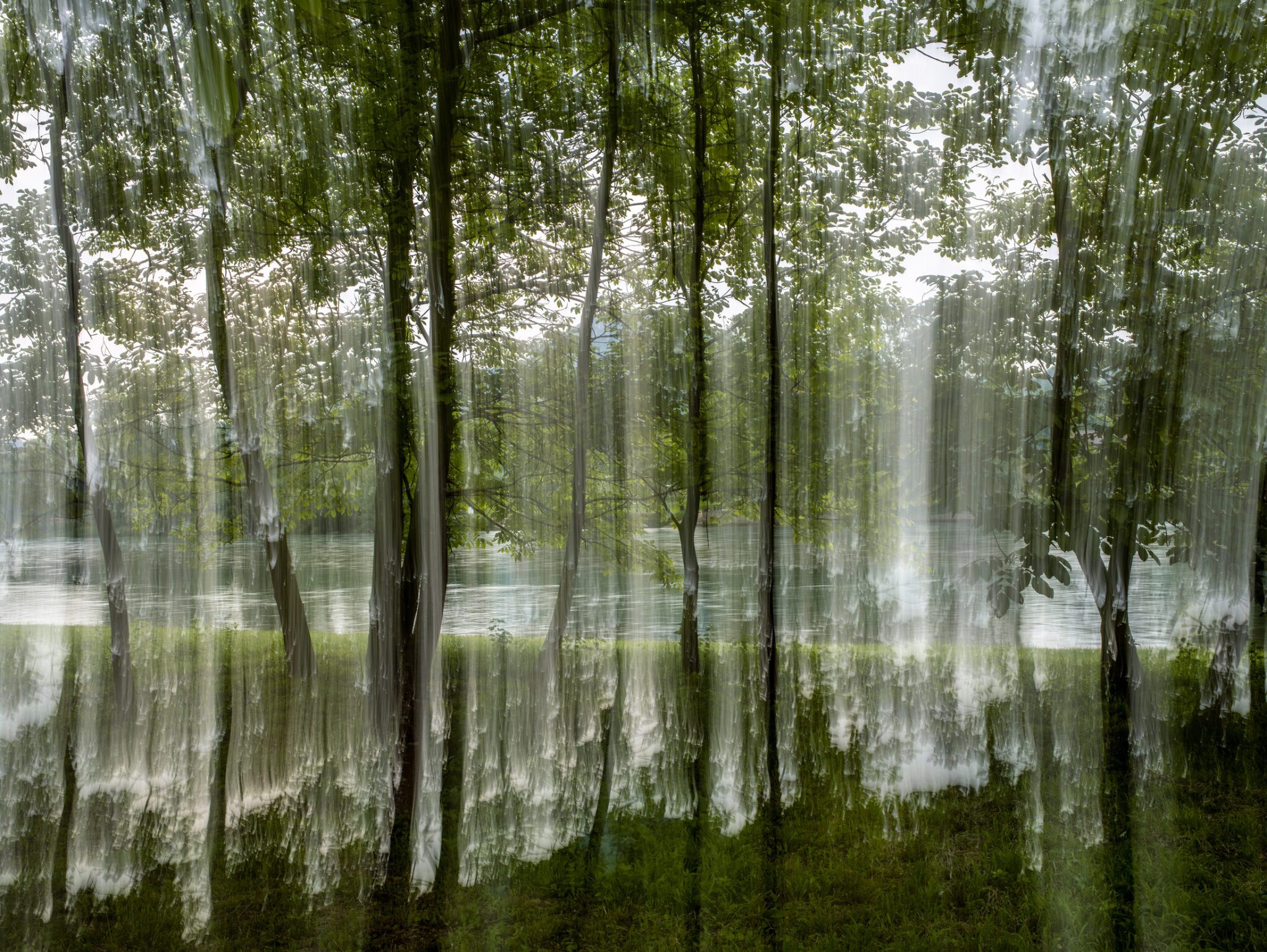 Barry Salzman | Holden Luntz Gallery