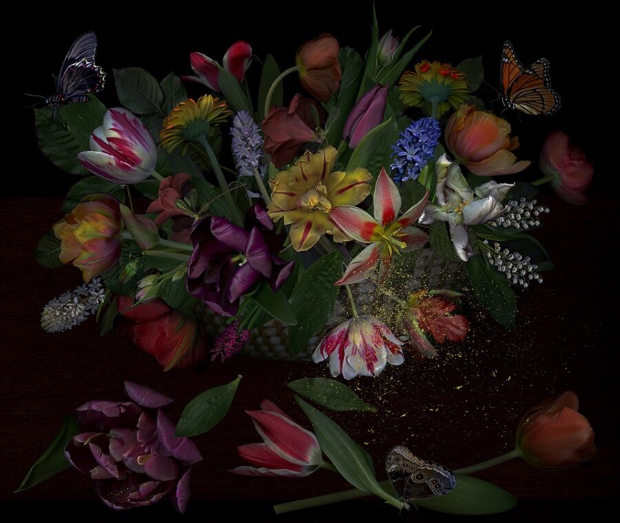 Still Life with Butterflies - Holden Luntz Gallery