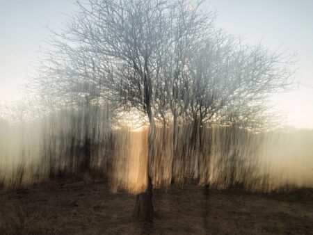 In the Eye of the Beholder, Ongandjera, Namibia - Holden Luntz Gallery