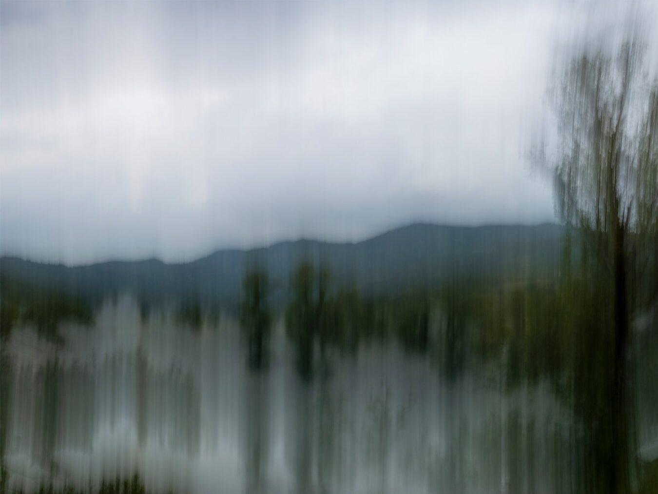 Barry Salzman | Holden Luntz Gallery