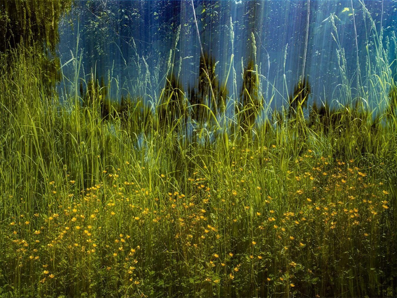 Barry Salzman | Holden Luntz Gallery