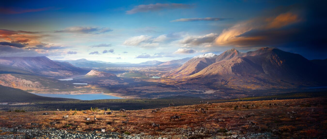 Stephen Wilkes Photography | Holden Luntz Gallery