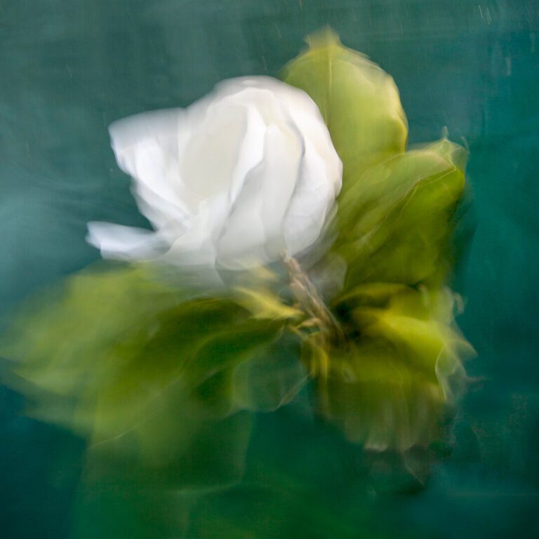 Holden Luntz Gallery - Between Worlds, Barbara Cole