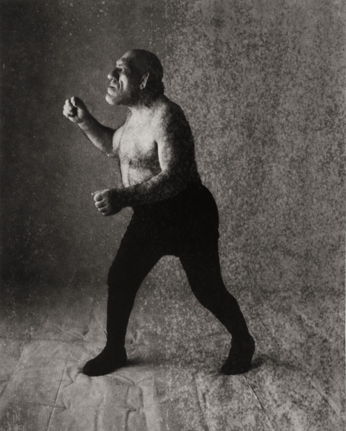 Irving Penn | Holden Luntz Gallery