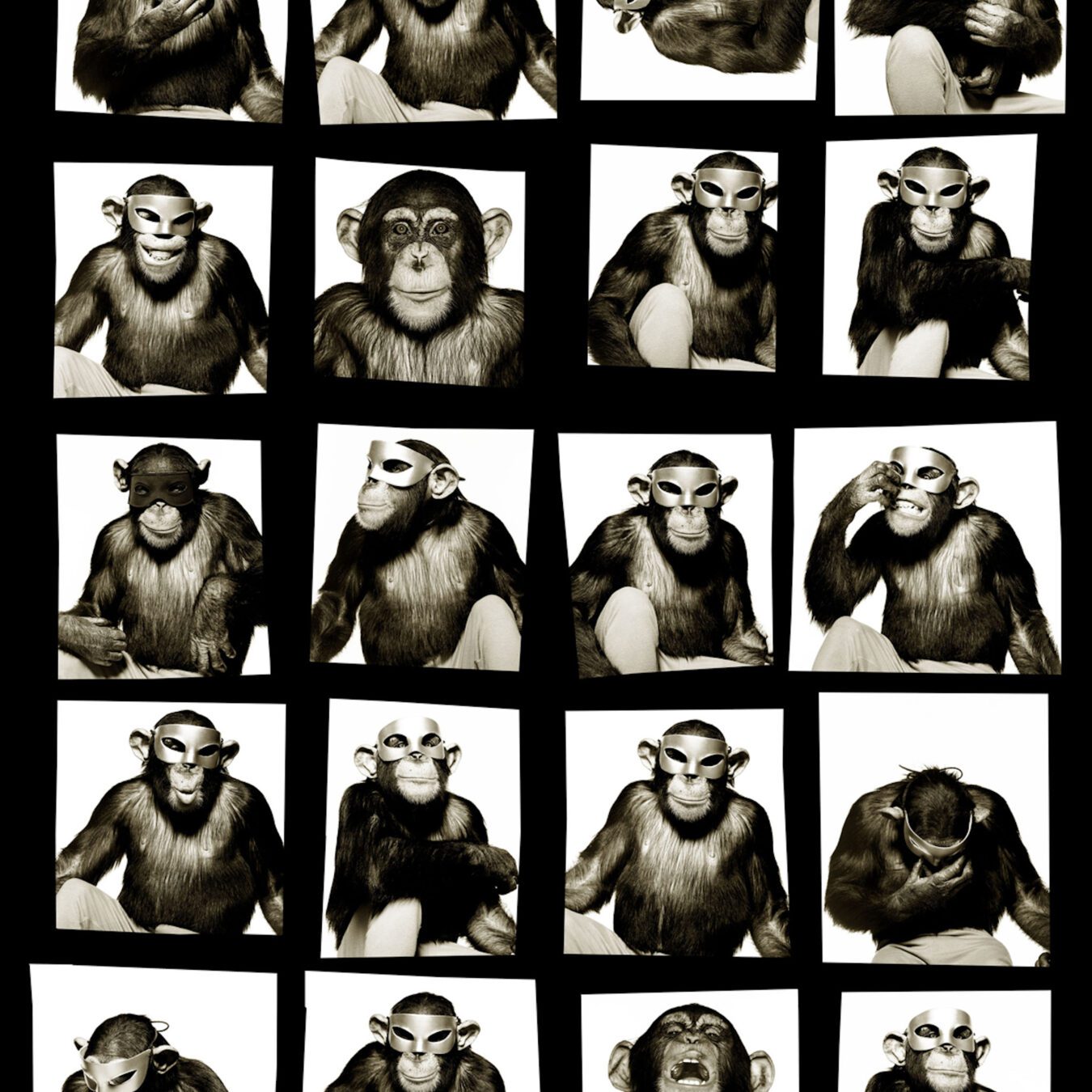 Monkey with Mask, New York City - Holden Luntz Gallery