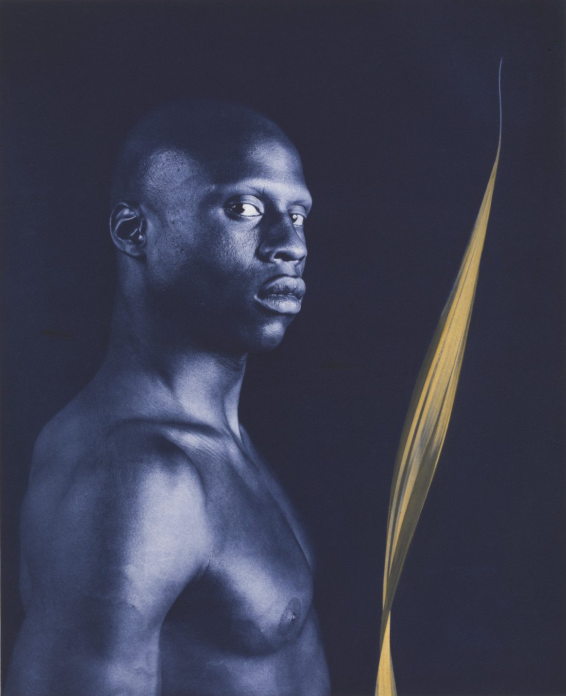 Ken Moody Portfolio - Holden Luntz Gallery