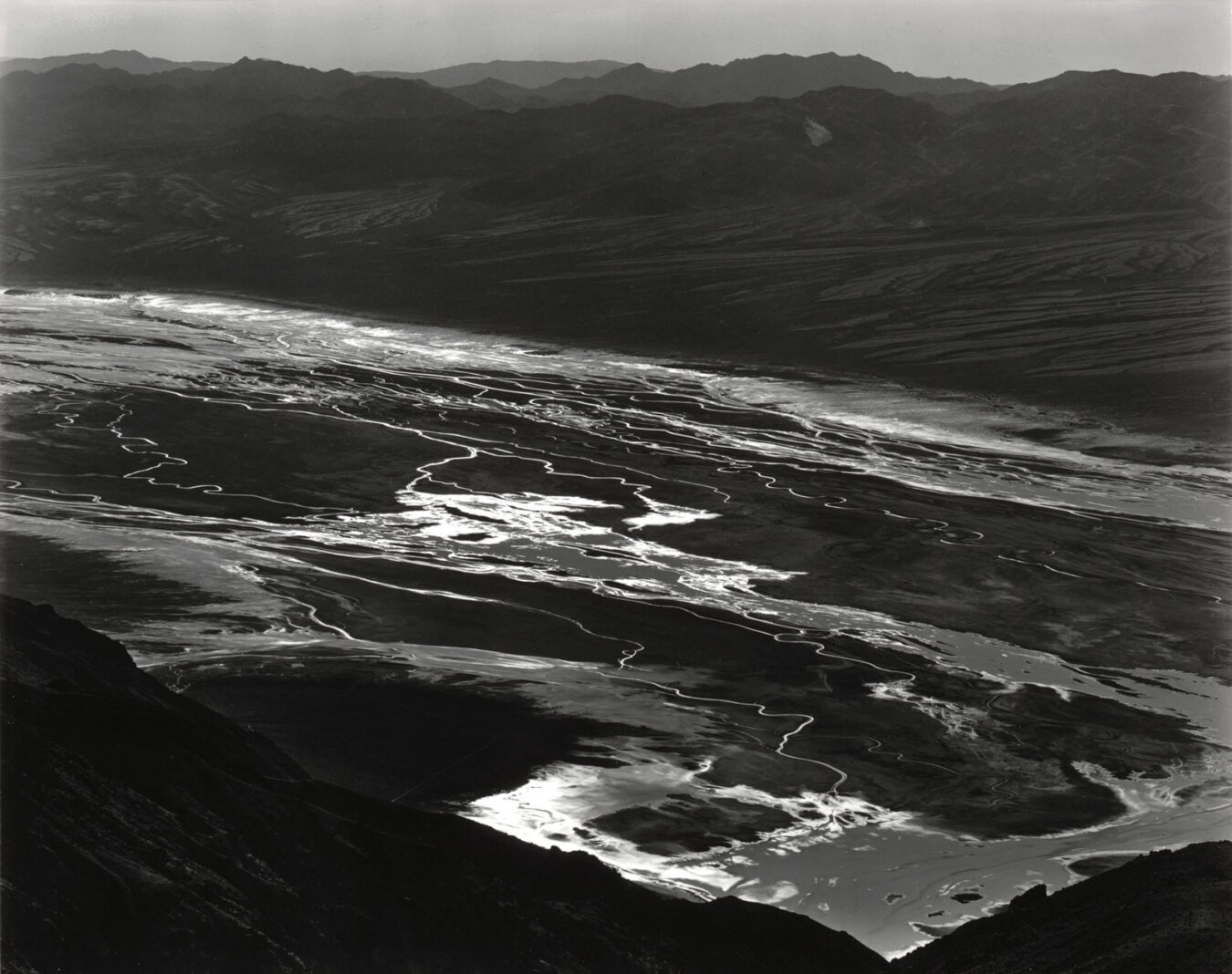 Pepper No. 30 - Holden Luntz Gallery