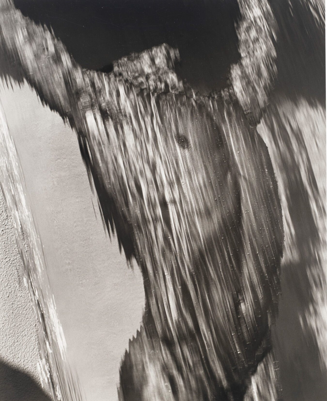 Herb Ritts | Holden Luntz Gallery