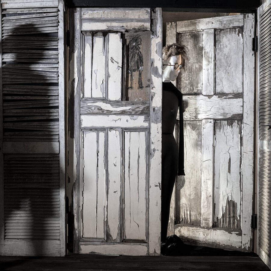 Roger Ballen Photography - Holden Luntz Gallery