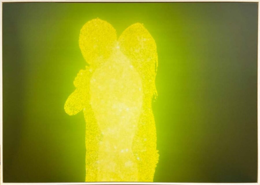 Tetrarch, 9:36 am, 29 November, 2012 - Holden Luntz Gallery
