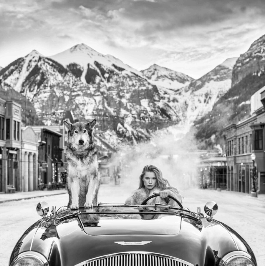 David Yarrow: The Adventure Continues... @ JL Modern - Holden Luntz Gallery